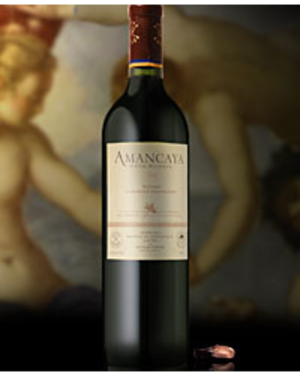 2009 Amancaya Gran Reserva Malbec Cabernet Sauvignon | Nicks Wine Merchants