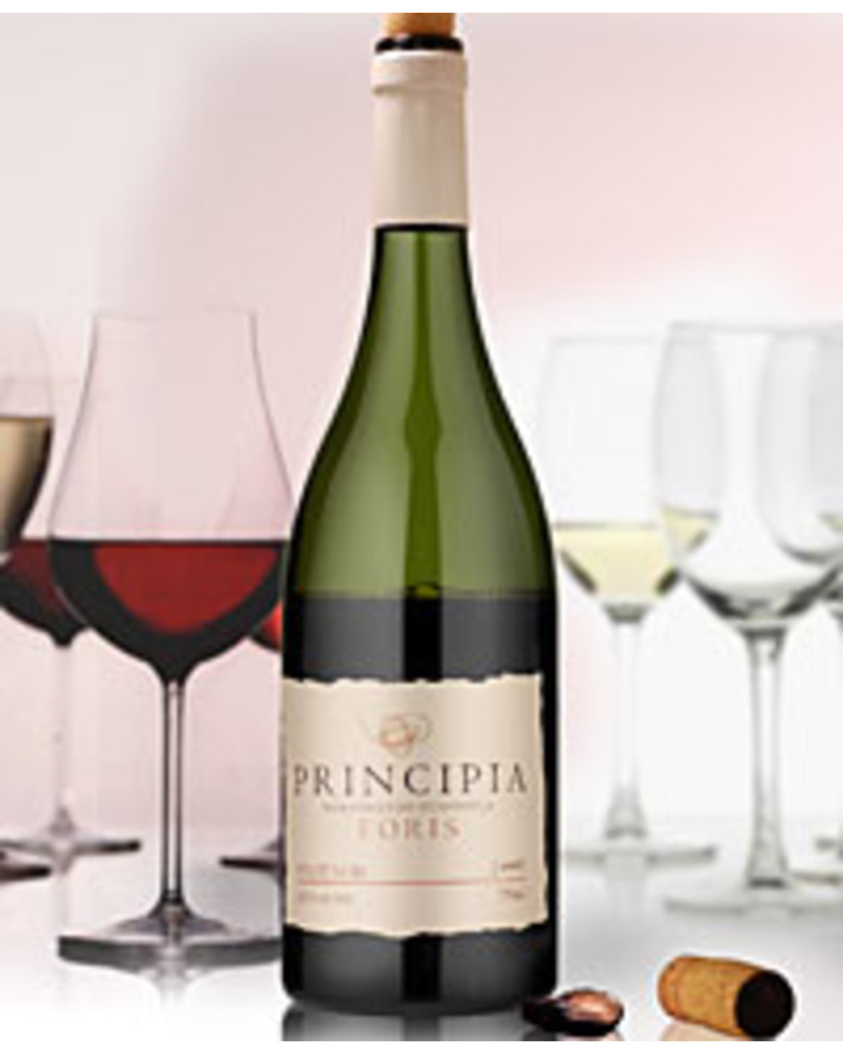 2008 Principia Foris Pinot Noir | Nicks Wine Merchants